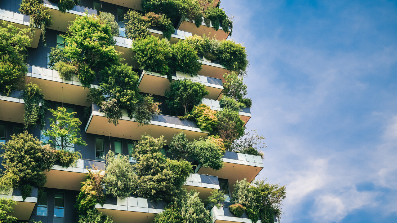 Building A Fully Sustainable Work Environment