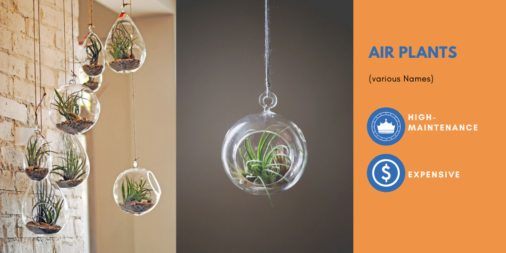 Remote Management: Why More Companies are Adopting a Remote-First ...