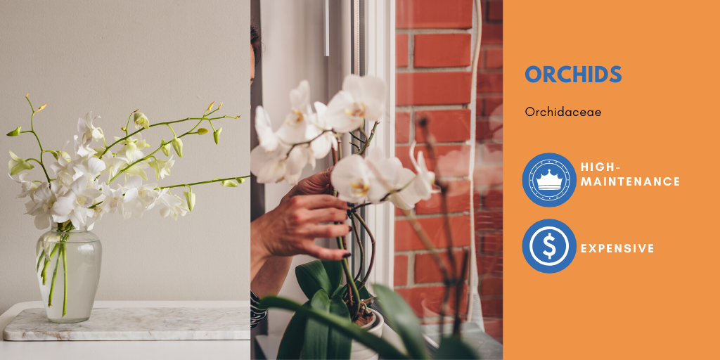 Remote Management: Why More Companies are Adopting a Remote-First ...