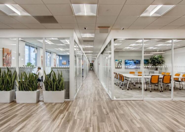 5 Office Plant Trends For 2020 - Allwork.Space