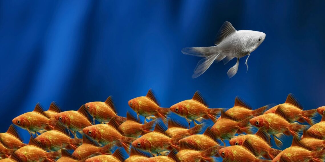 Losing Ourselves In Work: The Dangerous Identity Crisis Of Modern Careers