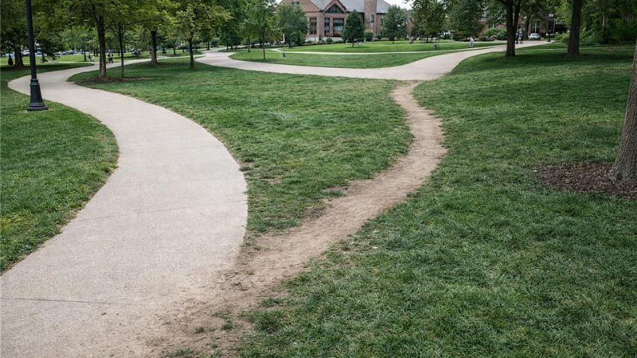 What Are Desire Paths And What Do They Have To Do With Coworking?